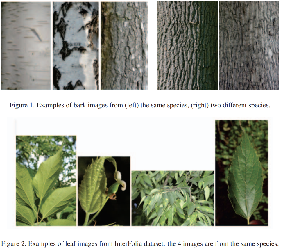 Amine Sehaba - Amine’s Homepage